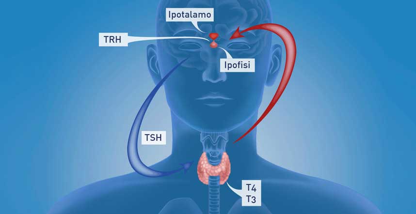 Prima tiroidectomia transorale robotica in Europa, sinergia tra Unime e ...