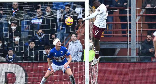 Caputo illude la Sampdoria, rimonta Toro a Marassi - Messina Oggi