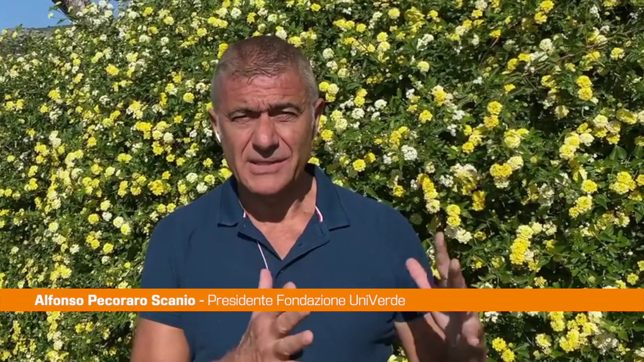 Pecoraro Scanio "La vittoria di Lula in Brasile un segno di speranza ...