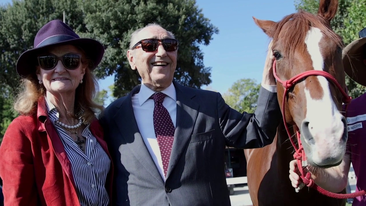 Il viaggio del cavallo Persano per la salute mentale arriva a Roma ...