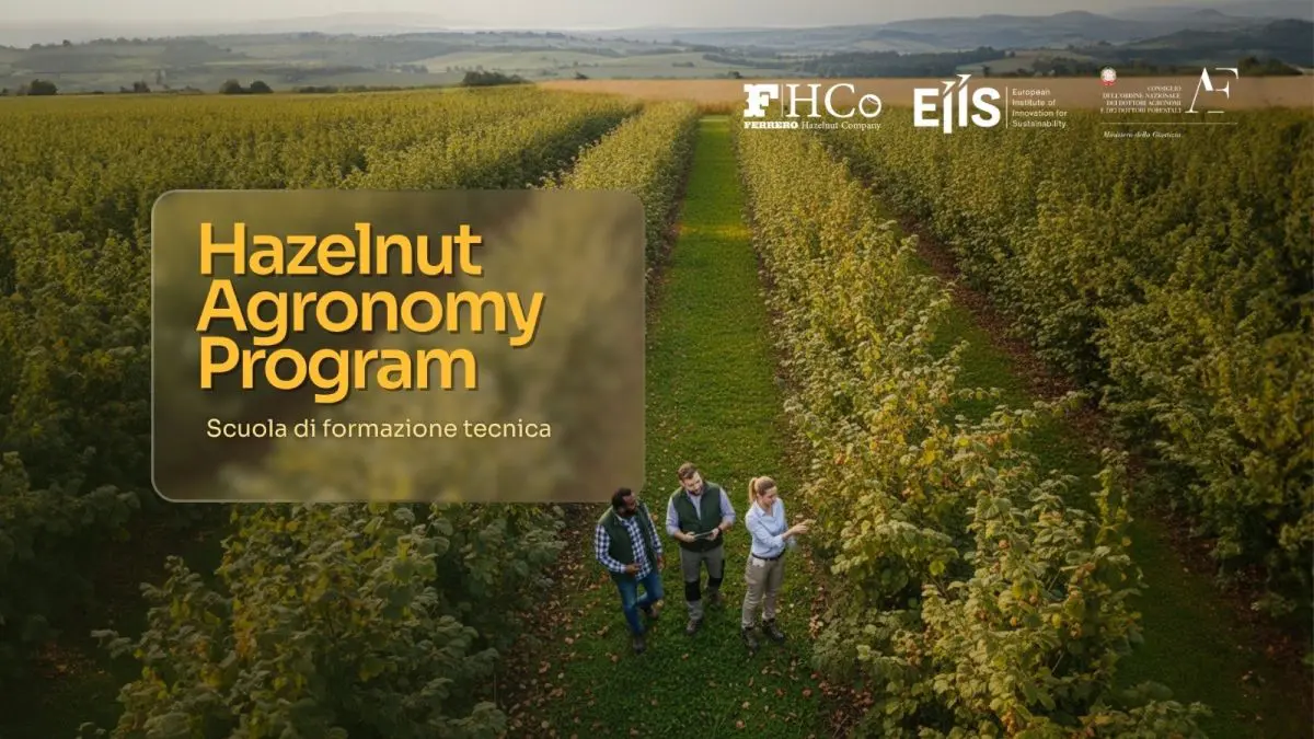 Al via l’Hazelnut Agronomy Program promosso da Ferrero, Eiis e Conaf - Messina Oggi